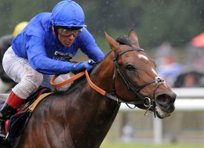 Wie viel Rennpferde kosten können - RaceBets Blog