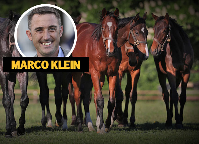 Marco Klein: „Dreijährig greift man eher nach den Sternen“ - RaceBets Blog