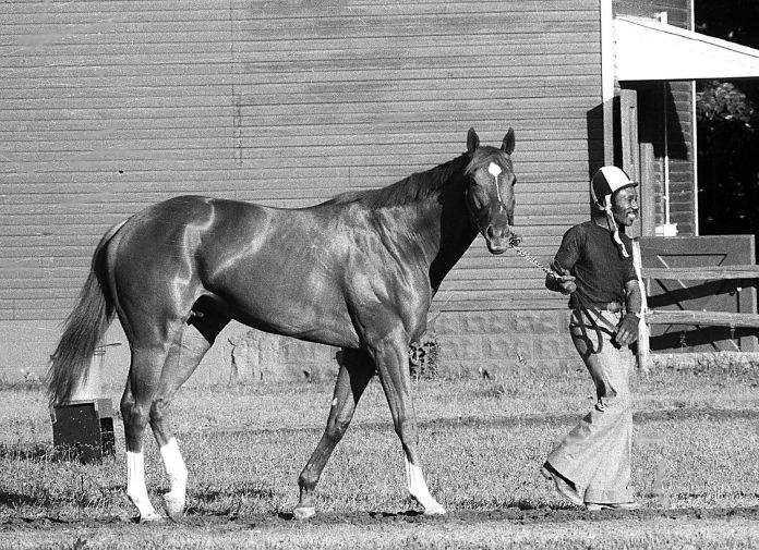 Die Legende Secretariat - RaceBets Blog