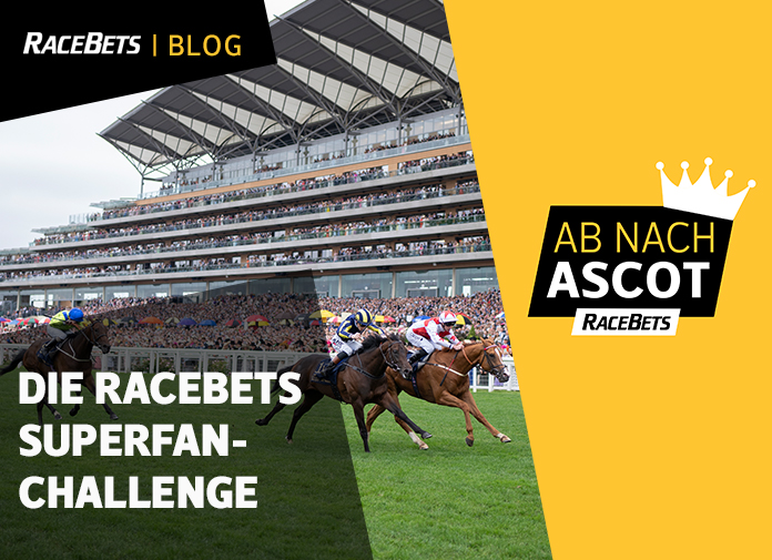 Ab nach Ascot – die RaceBets Superfan-Challenge - RaceBets Blog