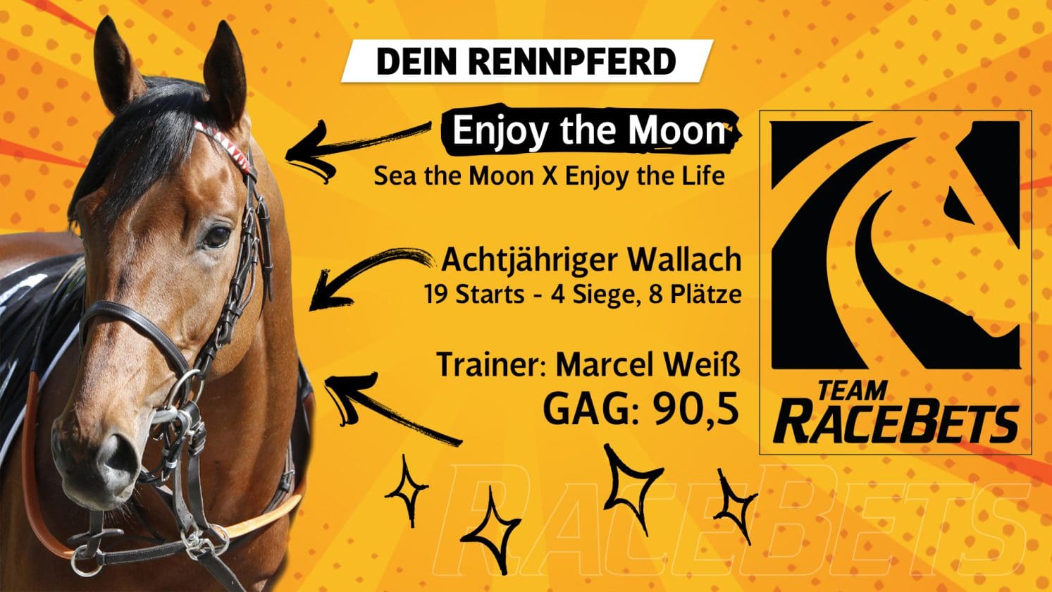 Team RaceBets - Dein Rennstall - RaceBets Blog